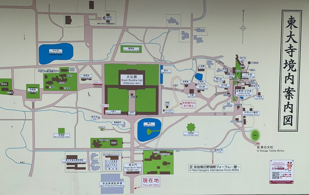 Todaiji Temple | Great Buddha and Deer | UNESCO Site 【Wonders of Nara ...