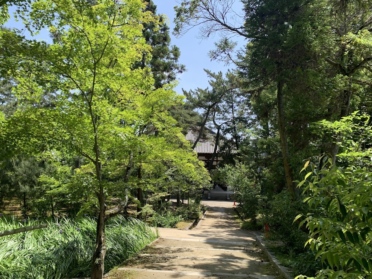 Explore Toshodaiji Temple｜Mossy Path, National Treasures【Wonders of ...