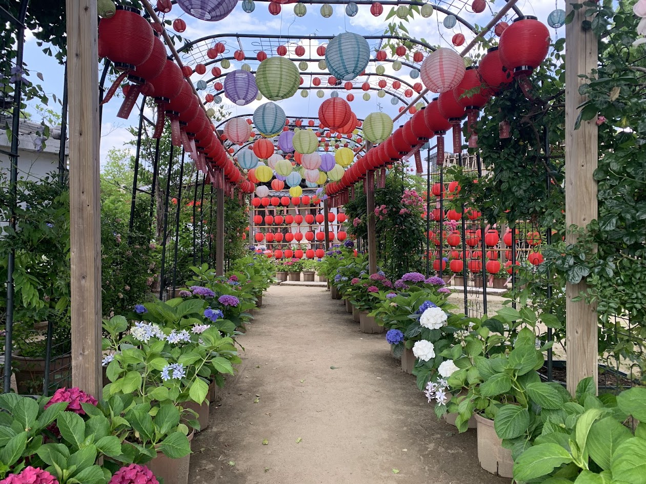 Visit Ofusa Kannon｜Flowers, Wind Chimes & Lanterns【Wonders of Nara ...