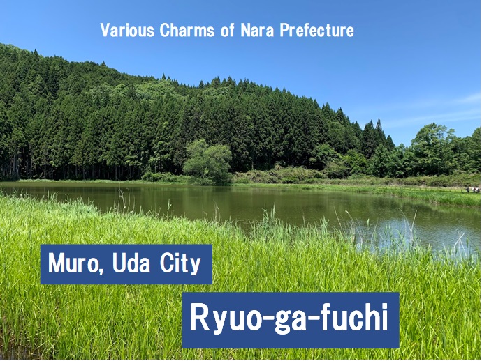 Explore Uda｜Historic Towns, Temples & Mystical Sites【Wonders of Nara ...